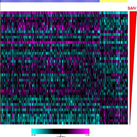A Heat Map Shows The Relationship Between The Level Of Expression Of Download Scientific