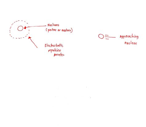 Solved 1 Describe The Subatomic Structure Of The Nucleus