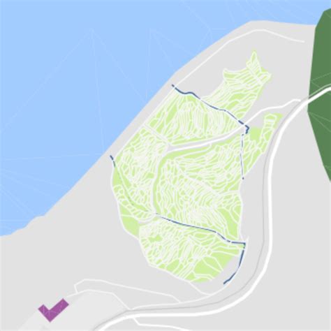 Roads Niantic Spatial Platform