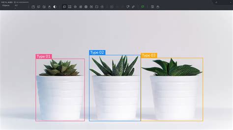 Neural Networks And Deep Learning For Classification Keylabs