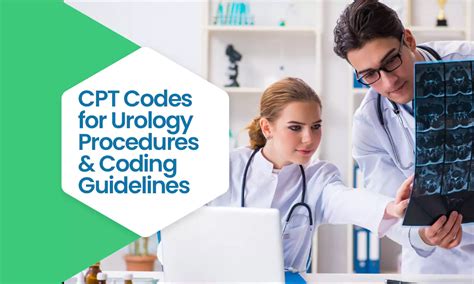 Cpt Codes For Urology Procedures And Coding Guidelines 2024