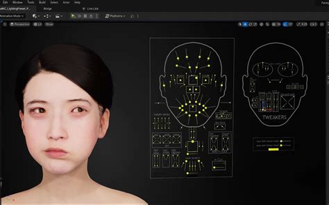 Metahuman 自定义面部表情测试
