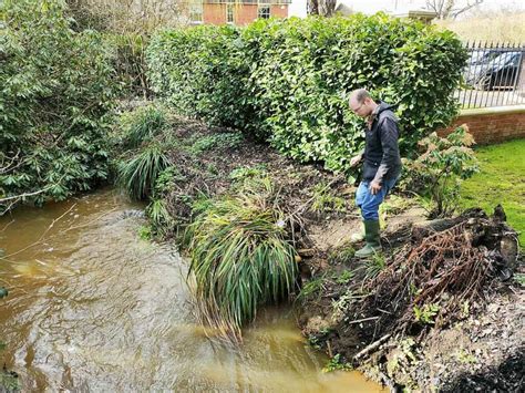 We Took A Snapshot Of The River Wey Catchment Water Rangers