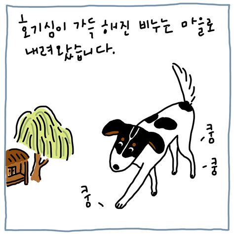 숲 속에 사는 영물 비누