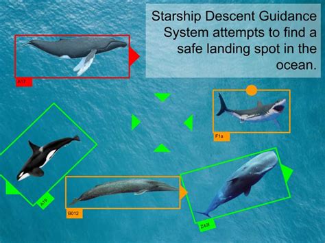 Insight To Starships Landing Algorithm Rspacexmasterrace
