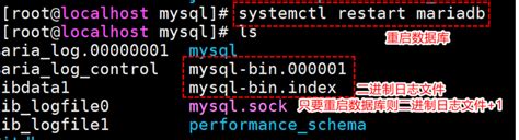 linux builds master slave database and mycat read write separation