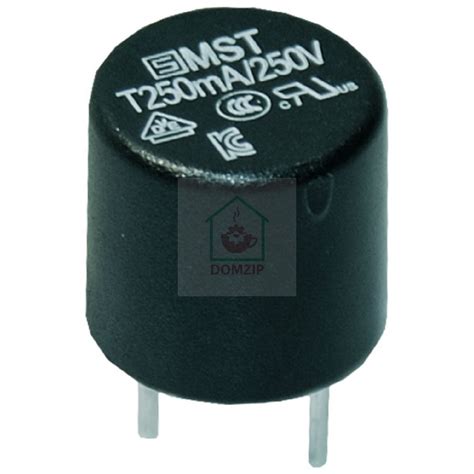 FUSIBLE 250mA 250V