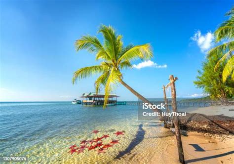 베트남 푸쿠크 섬의 아름다운 모래 해변에 열대 야자수가 있는 바다 풍경 푸쿽 섬에 대한 스톡 사진 및 기타 이미지 푸쿽 섬 별 모양 해변 Istock