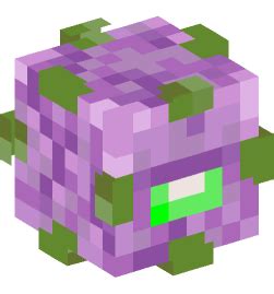 Plaguewhale — Minecraft Head