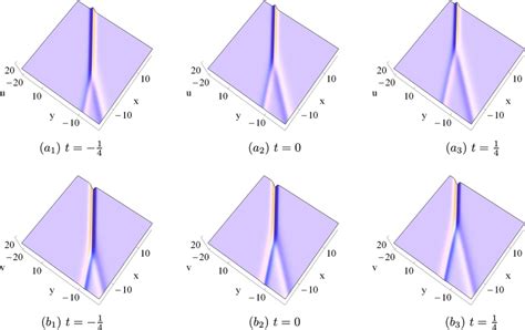 Y Type Soliton Via Solutions 14 Under Coefficient Constraints 3 A