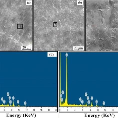 Sem Micrographs And Eds Spectra Of Worn Out Samples For Wc Co Cr At 30