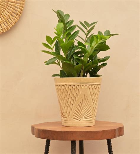 Embosse Ceramic Planter Ugaoo