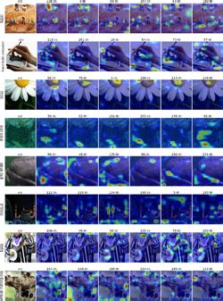 Pdf Simam A Simple Parameter Free Attention Module For Convolutional Neural Networks
