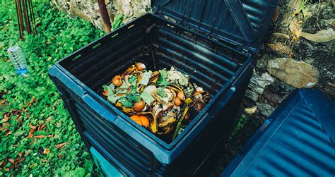 When To Add Compost To The Garden Now Or Later