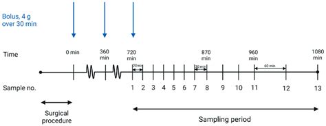 A Illustrative Drawing Of The Placement Of The Microdialysis Download Scientific Diagram
