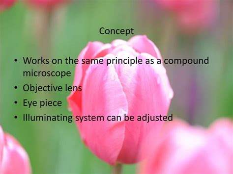 Anterior Segment Examination Pptx