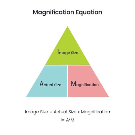 Magnification Equation Science Vector Illustration Diagram Premium Vector