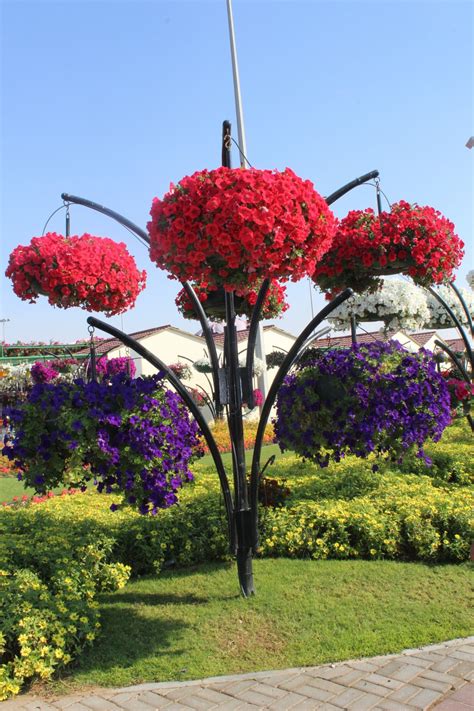 무료 이미지 나무 가을 식물학 정원 플로라 꽃들 관목 아름다운 화단 플로리스트 리 꽃 피는 식물 플로랄 디자인 우디 식물 육상 식물 꽃꽂이