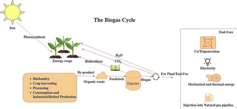 Biogas Production And Process Control Improvements Intechopen
