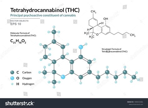 Thc Tetrahydrocannabinol Psychoactive Constituent Cannabis Structural