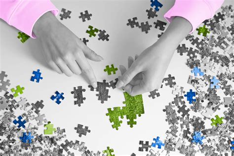 The Fastest Way To Solve A Jigsaw Puzzle Interesting Facts