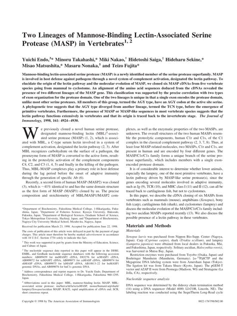 Pdf Two Lineages Of Mannose Binding Lectin Associated Serine Protease Masp In Vertebrates