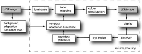 13 Gaze Dependent Tone Mapping Workflow Adapted From Mantiuk And