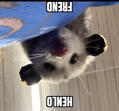 Every Morning And Night I Send My Adult Sons And Their Partner Funny