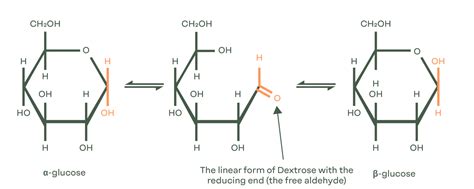 What Is Dextrose Equivalent De Lehmann Ingredients