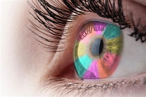 Rare Retinal Cells May Hold The Key To True Color Perception