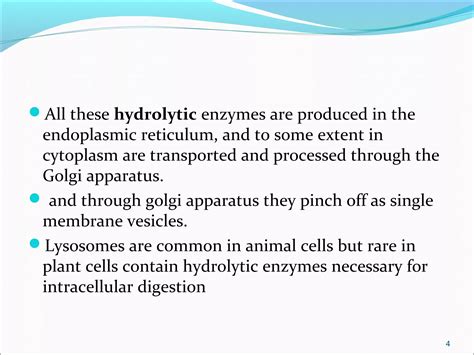 Lysosome And Mitochondria Eukaryotic Organless Ppt