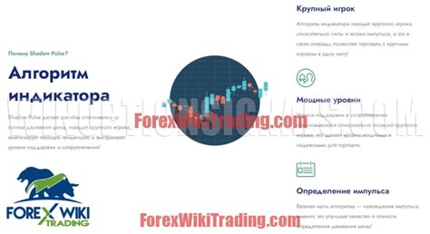 Pulse Fx Indicator MT Free Edition