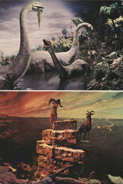 Disneylands Primeval World And Grand Canyon Diorama Anaheim California Postcard