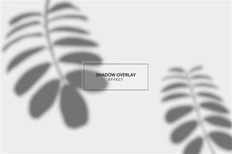 Mockup Background Vector Art Icons And Graphics For Free Download