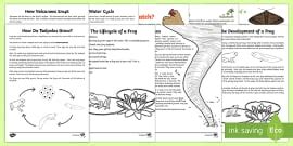 What Is An Explanation Text Twinkl Teaching Wiki Twinkl