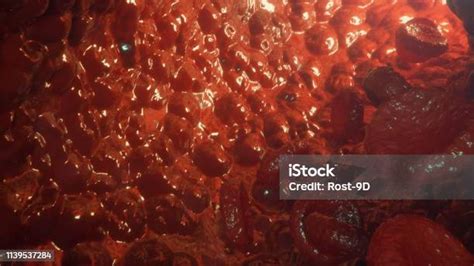 정 맥 또는 동맥에서 적혈구 살아있는 유기 체 내부 내부 흐름 산소 운반에 대 한 책임 규제 Ph 혈액 식품 및 유 기체의 케이지 3d 그림의 보호 3차원 형태에 대한 스톡