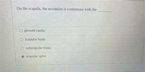 Solved On The Scapula The Acromion Is Continuous With The O