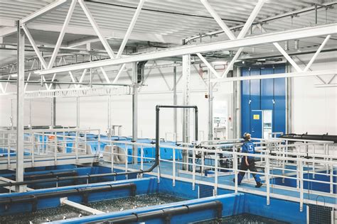 Recirculating Aquaculture Systems Ras