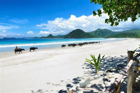 Peta lokasi Pantai Selong Belanak di Lombok Tengah Berikut Fasilitasnya ...