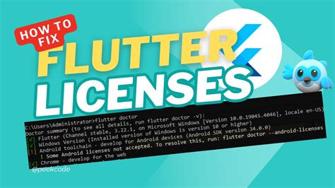 Cara Mengatasi Flutter flutter doctor --android licenses - YouTube