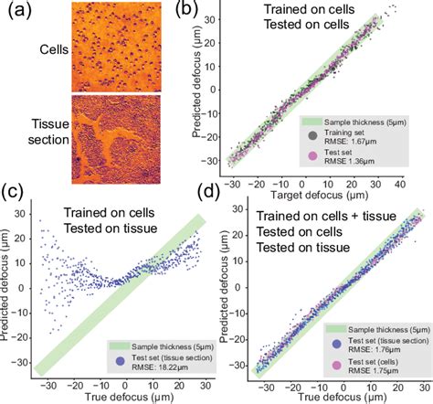 Figure 3 From Deep Learning For Single Shot Autofocus Microscopy