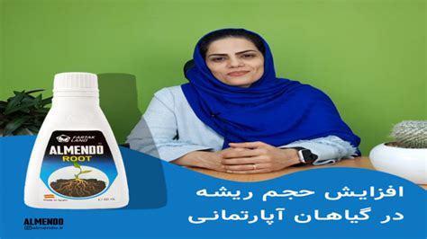 افزایش حجم ریشه در گیاهان آپارتمانی