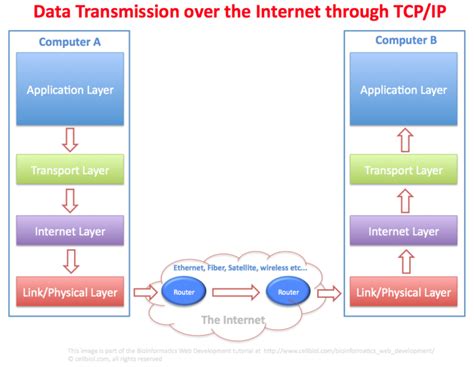 1 2 The TCP IP Family Of Internet Protocols Bioinformatics Web Development