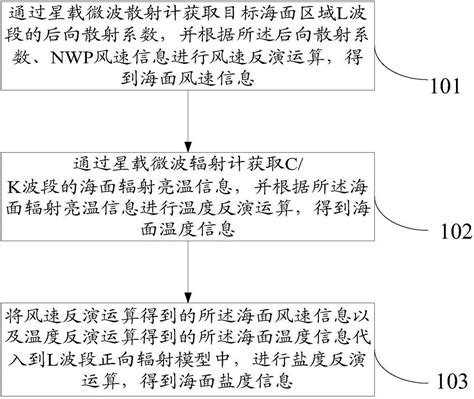 Multi Parameter Step By Step Sea Surface Salinity Inversion Method And Device Eureka Patsnap