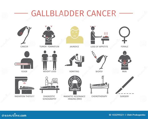 Gallbladder Cancer Symptoms In Females Cancerwalls