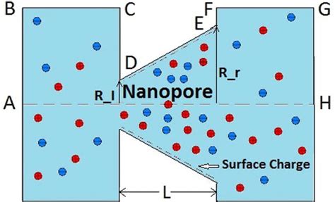 Schematic Of A Nanopore Of Length L With Radii Rl And Rr Connecting
