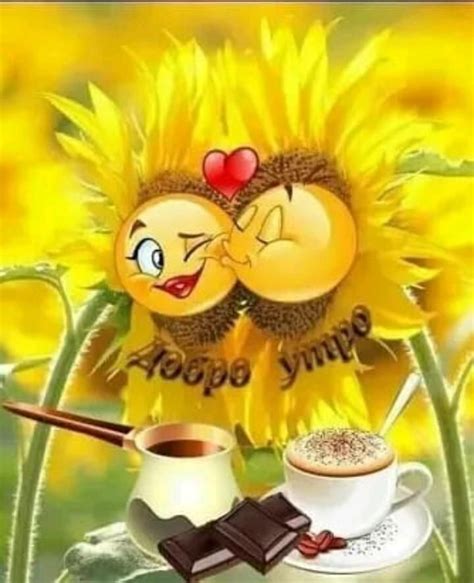 🧡💜💙💗💛💚🤍💖 🧡💜💙💗🤍💛💖💚 Счастливые картинки Смешные поздравительные открытки Доброе утро