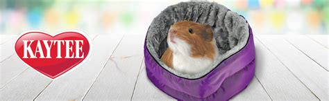 Kaytee Large Igloo Collection Cheap