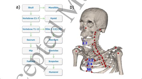 Articulated Kinematic Model Build Up A Scheme Of The Implemented