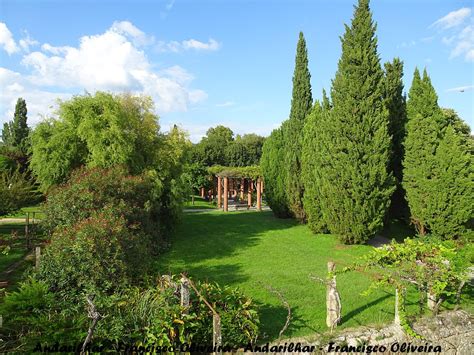 Andarilhar Parque Do Arnado